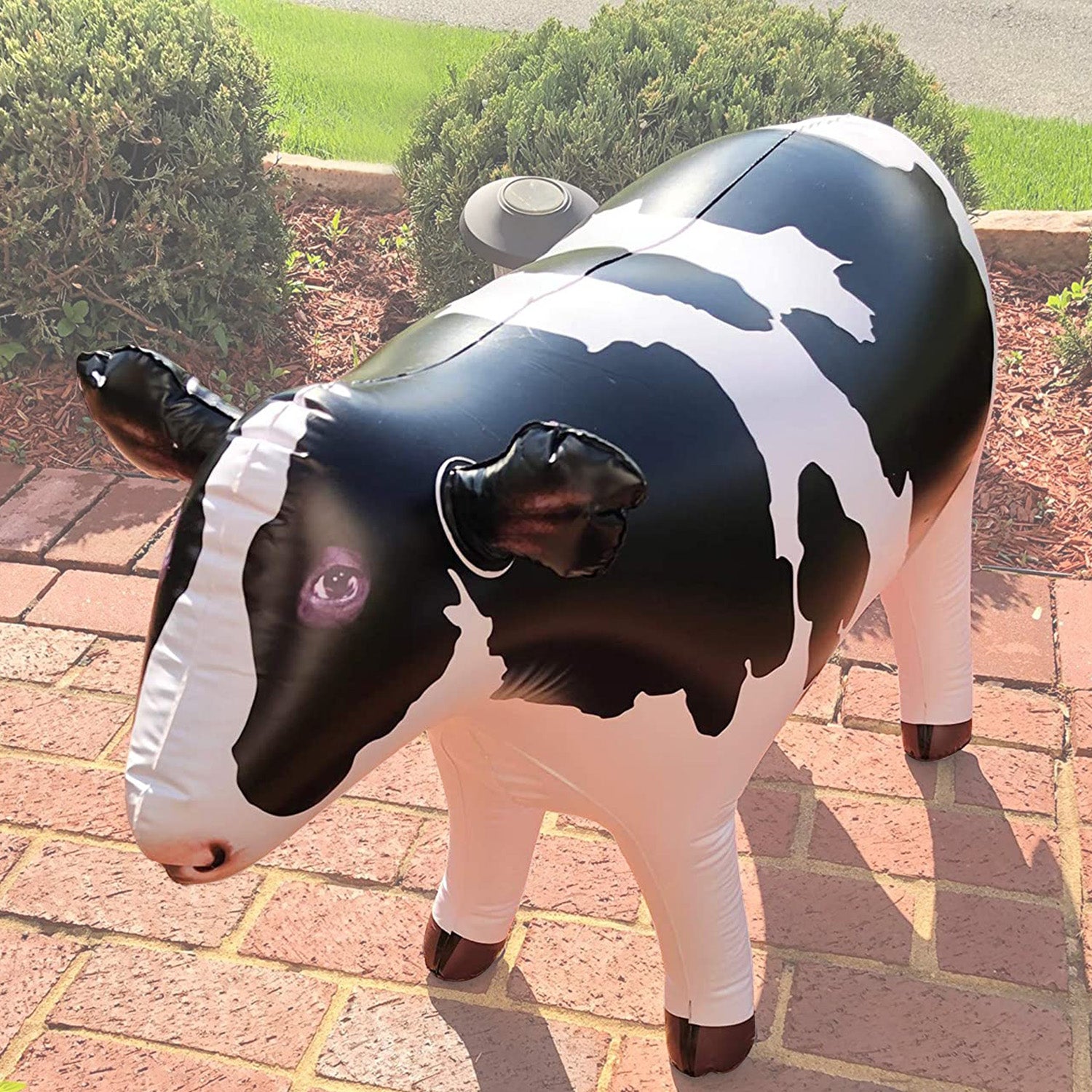 Inflatable Cow – Jet Creations Inc.