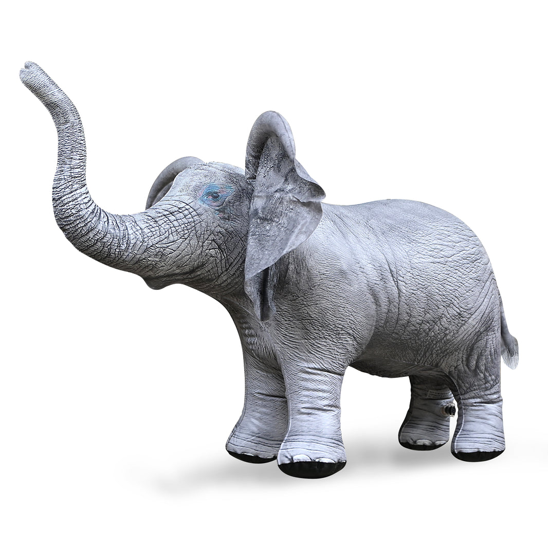 WILDLIFE – Jet Creations Inc.
