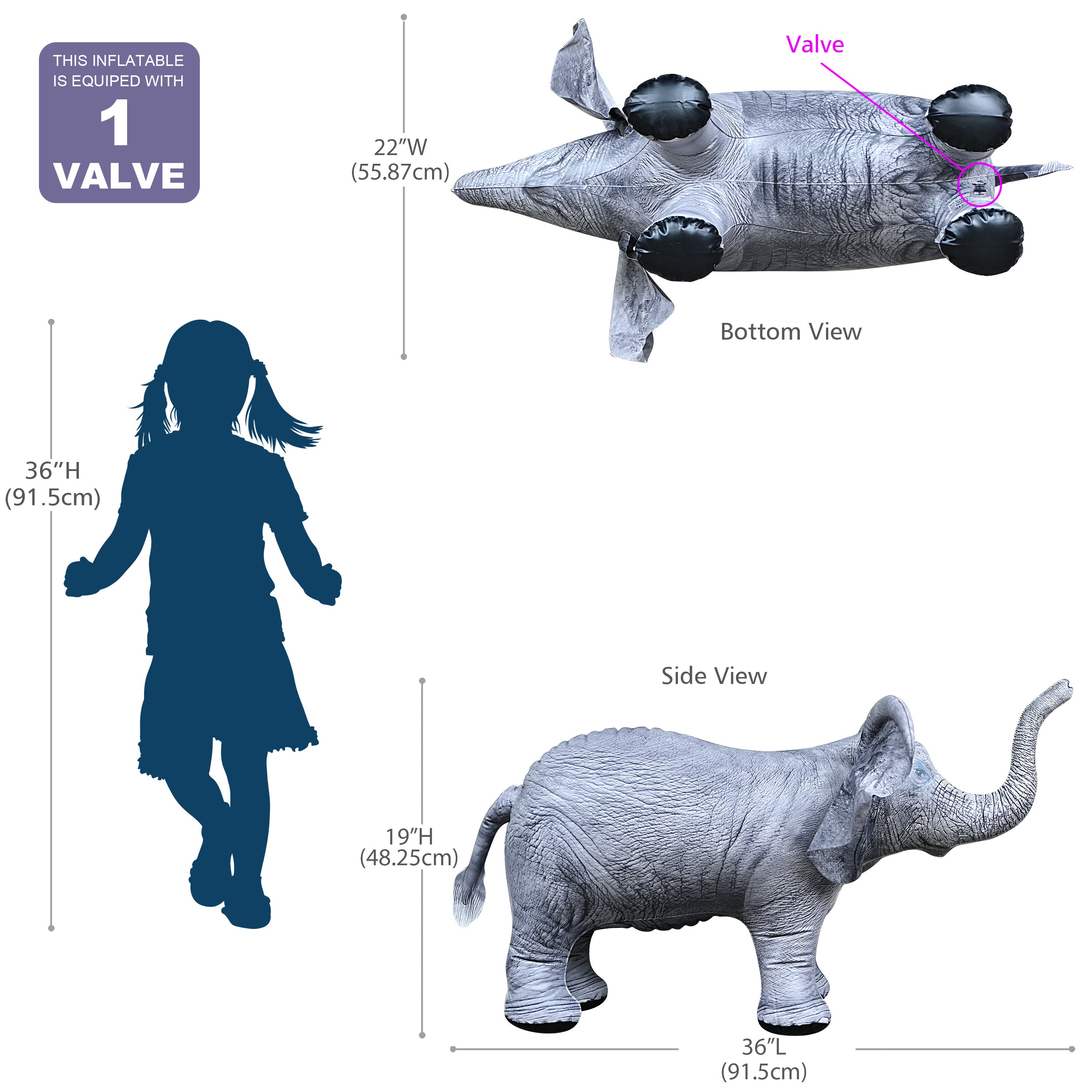 WILDLIFE – Jet Creations Inc.