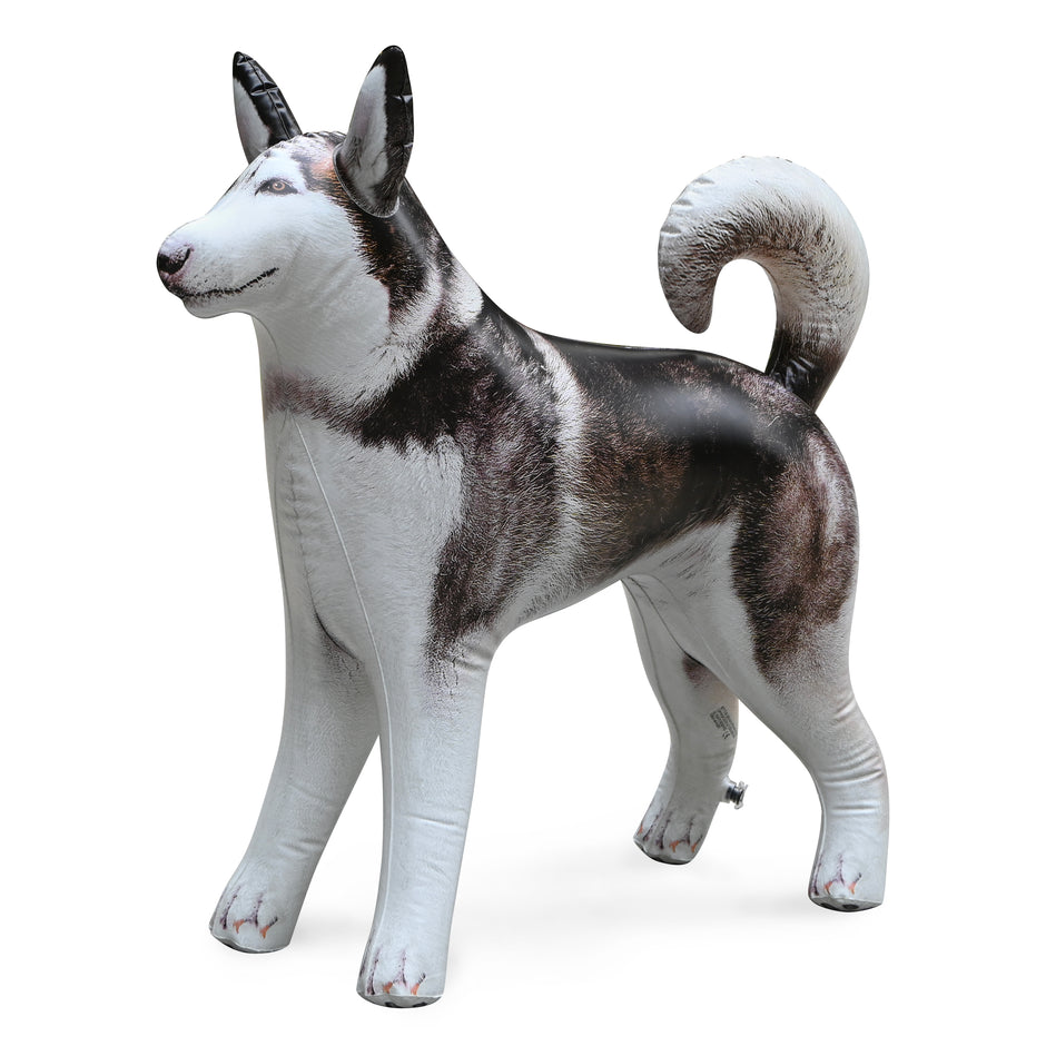 ANIMAL – Jet Creations Inc.