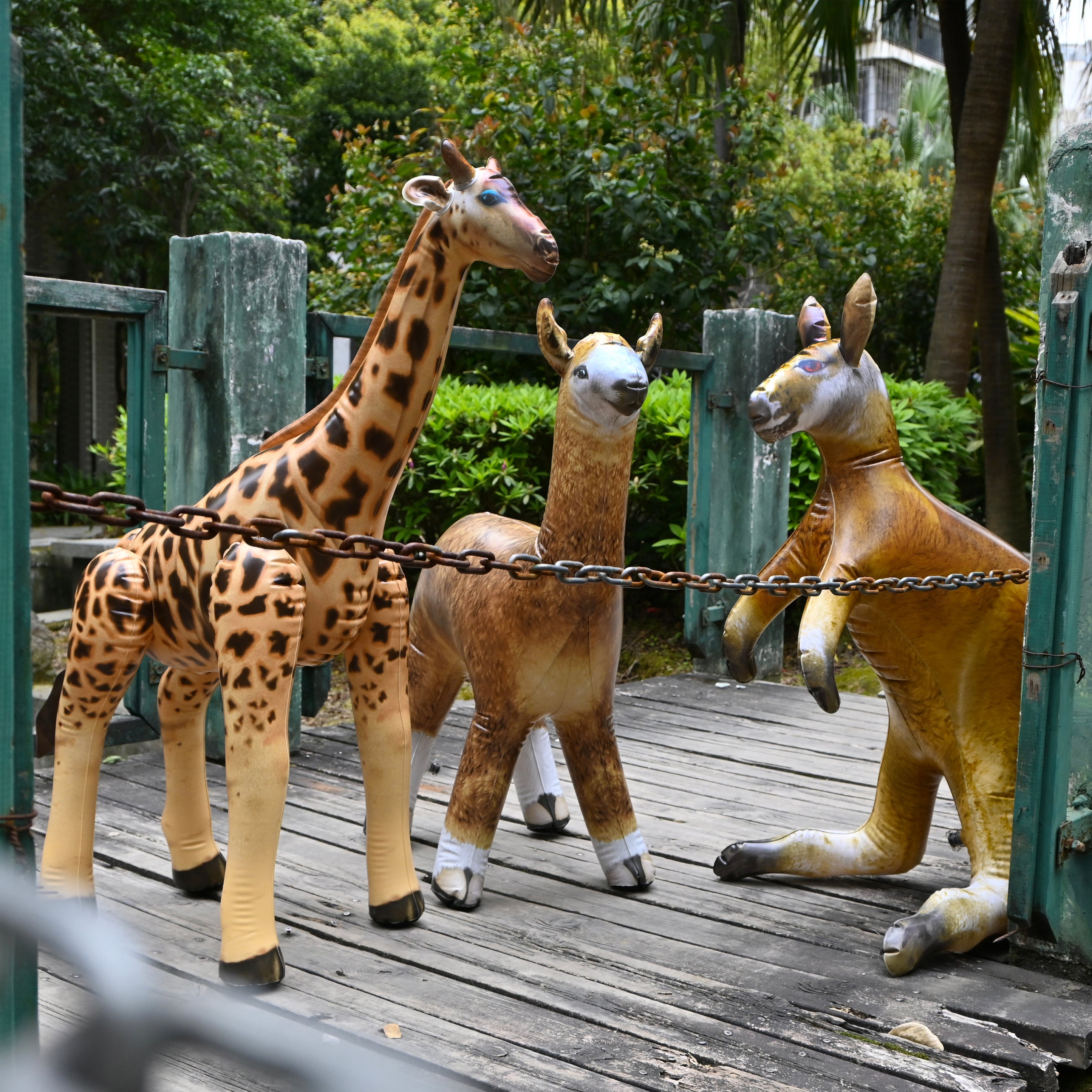 Inflatable Kangaroo Giraffe Alpaca – Jet Creations Inc.