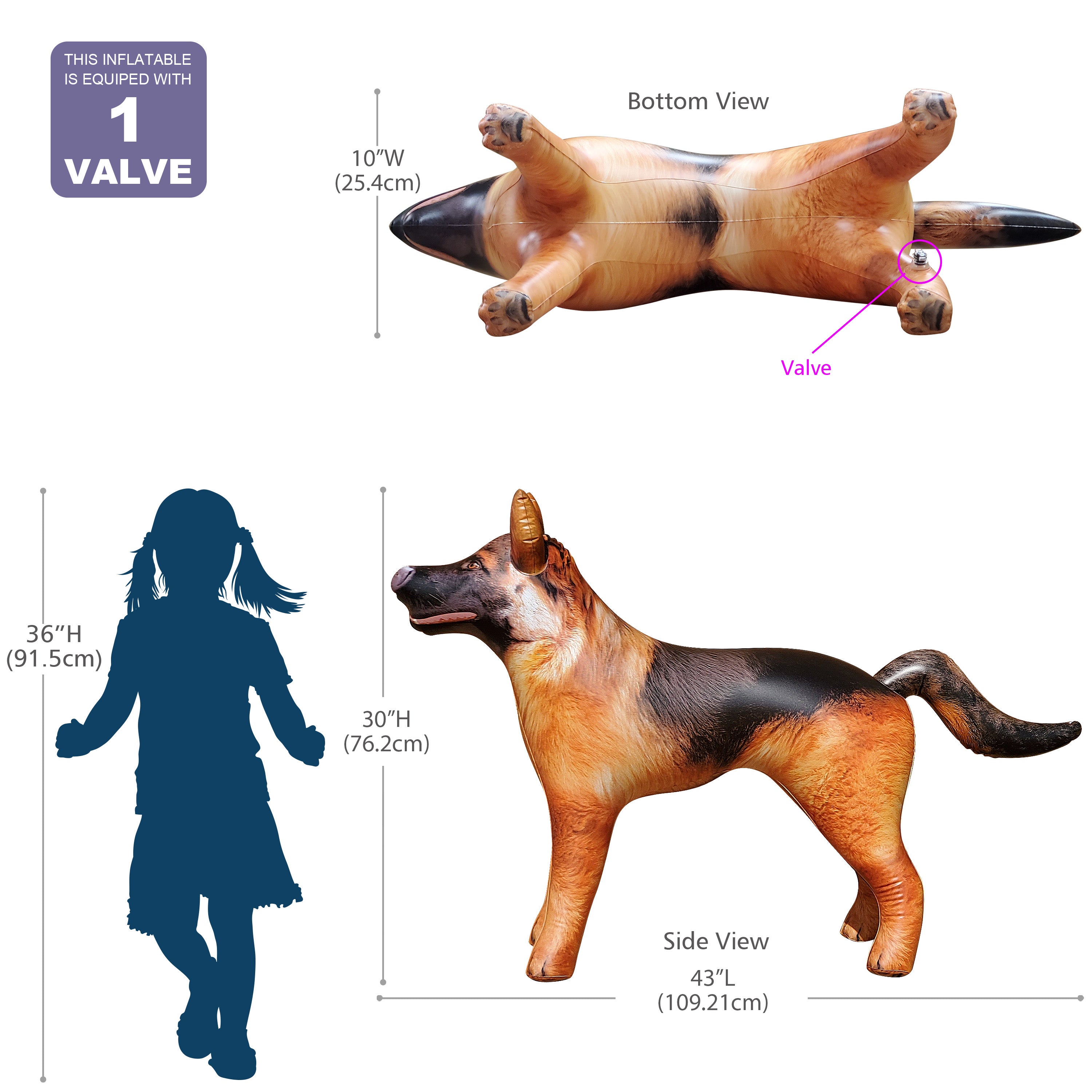 FARM & PET – Jet Creations Inc.