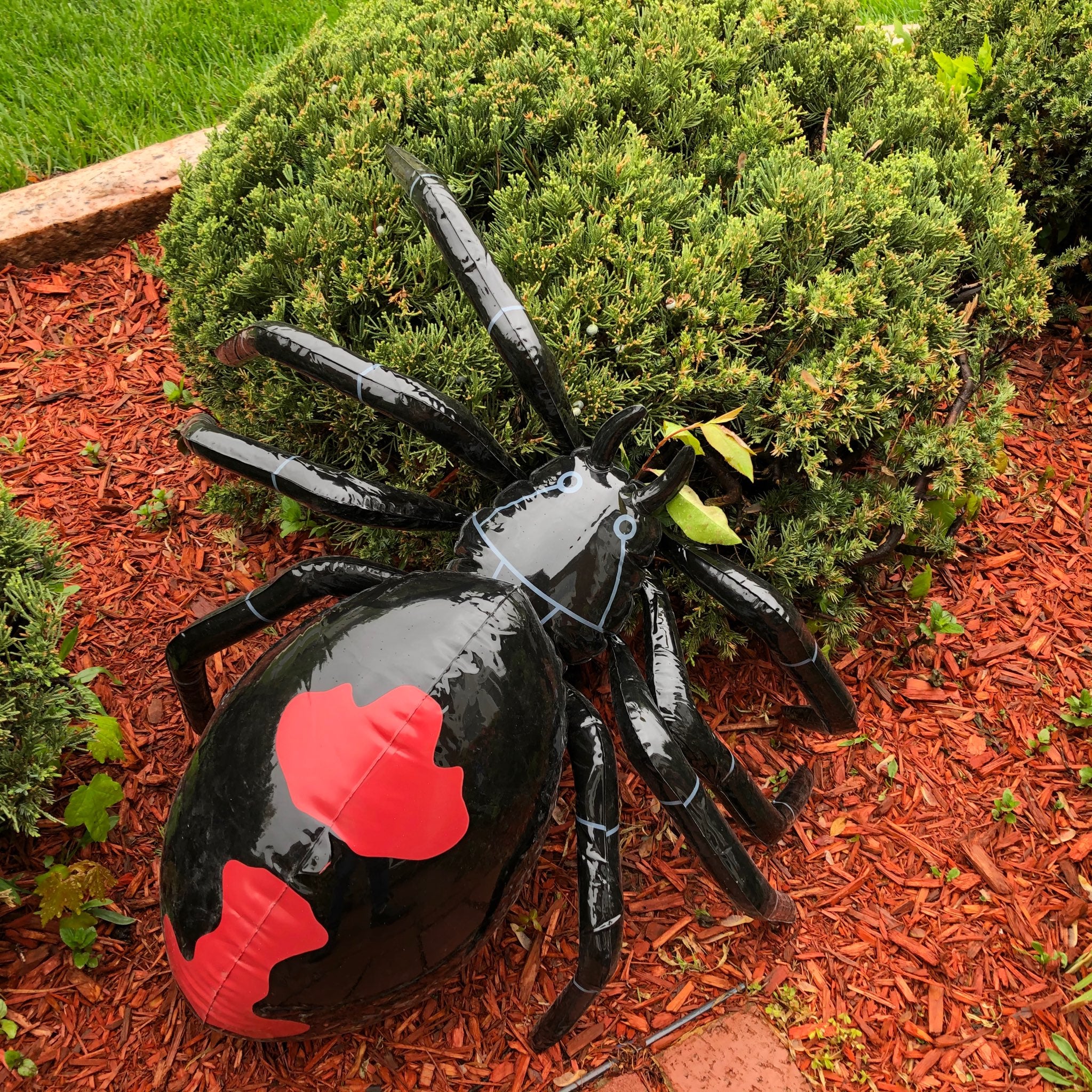 Jet Creations Black Widow Spider Giant Inflatable Animal Party ...